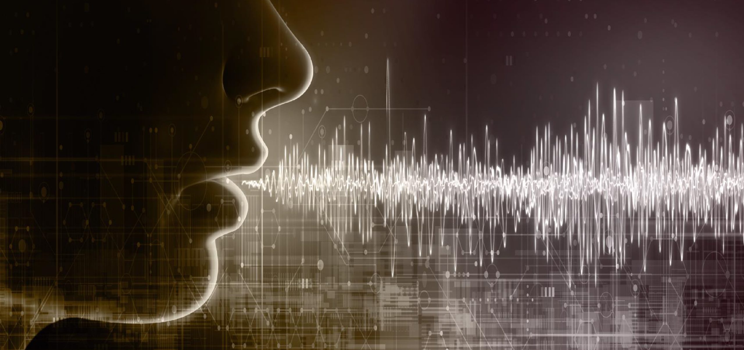 Voice Forensic System - Stratign